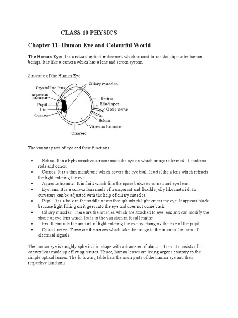 Class 10 Human Eye and The Colourful World | PDF | Eye | Human Eye