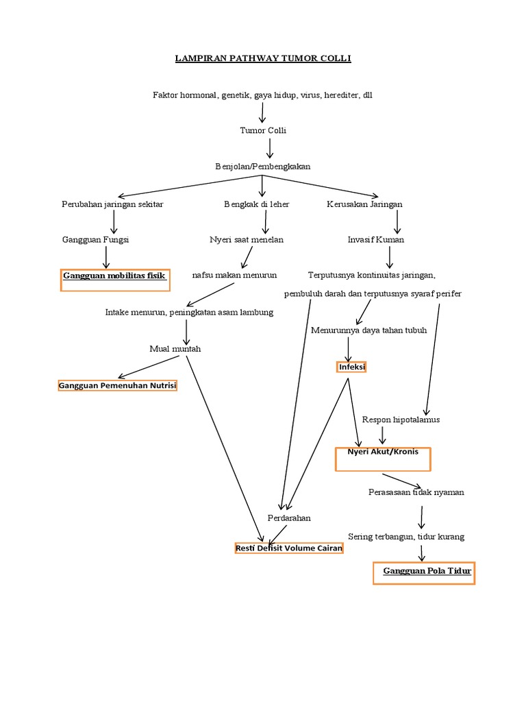 Pathway Colli Dita | PDF