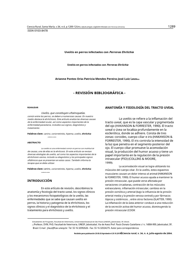 Uveítis en perros por Ehrlichia | PDF | Glaucoma | Inflamación