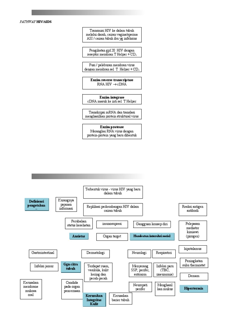 Pathway Hiv | PDF
