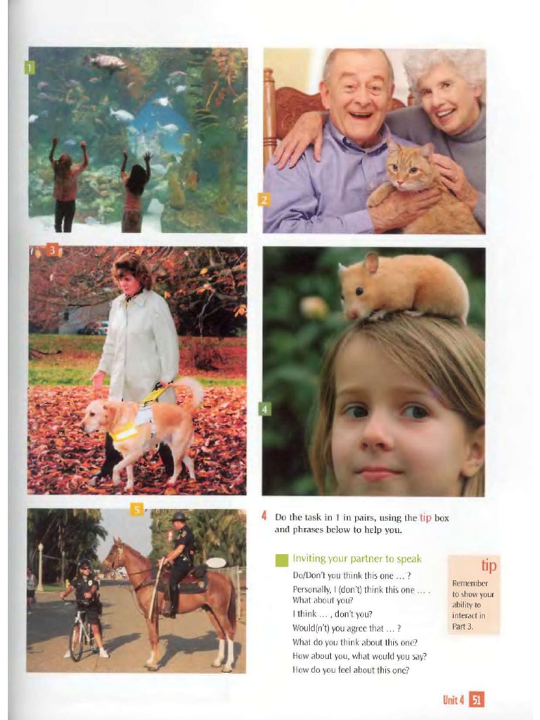 CAE - STUDENT'S BOOK Pages 52 - 57 | PDF