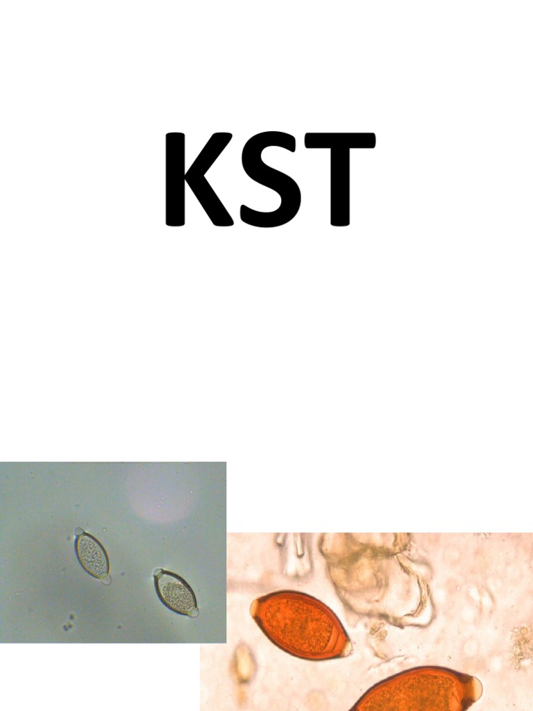 Thuc Hanh KST 1 | PDF