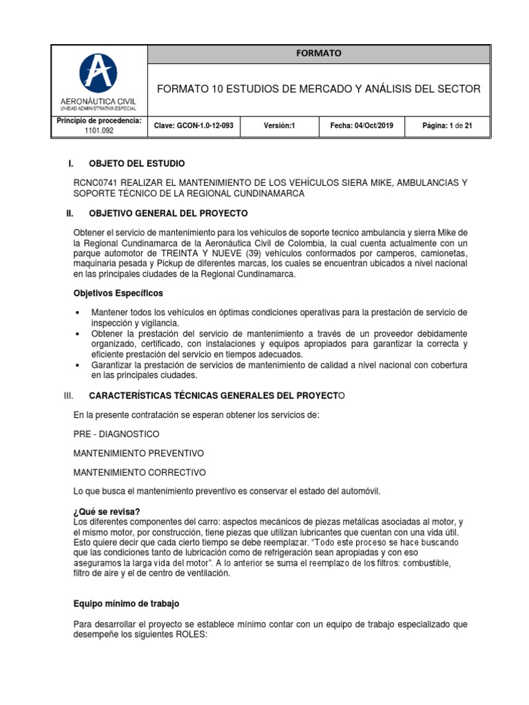 Formato10 Estudios de Mercado y Analisis Del Sector | PDF | Industria automotriz | Producto ...