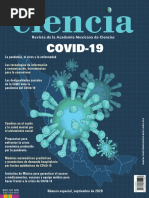Efecto Hipoglucemiante Del Extracto Acuoso de Phyllanthus Sellowianus ...