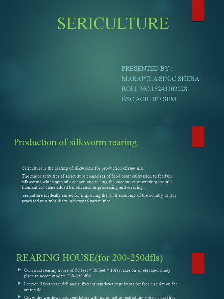 Sericulture: Presented By: Maraptla Sinai Sheba ROLL NO.15243102028 BSC ...