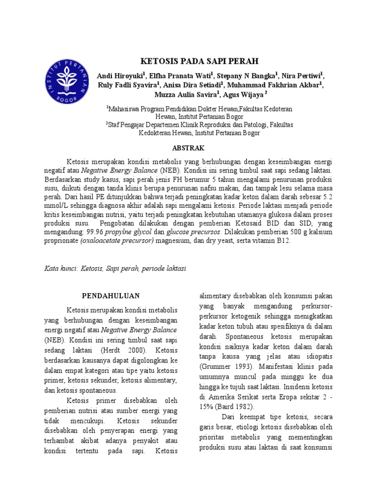 Ketosis Pada Sapi Perah - H1 | PDF