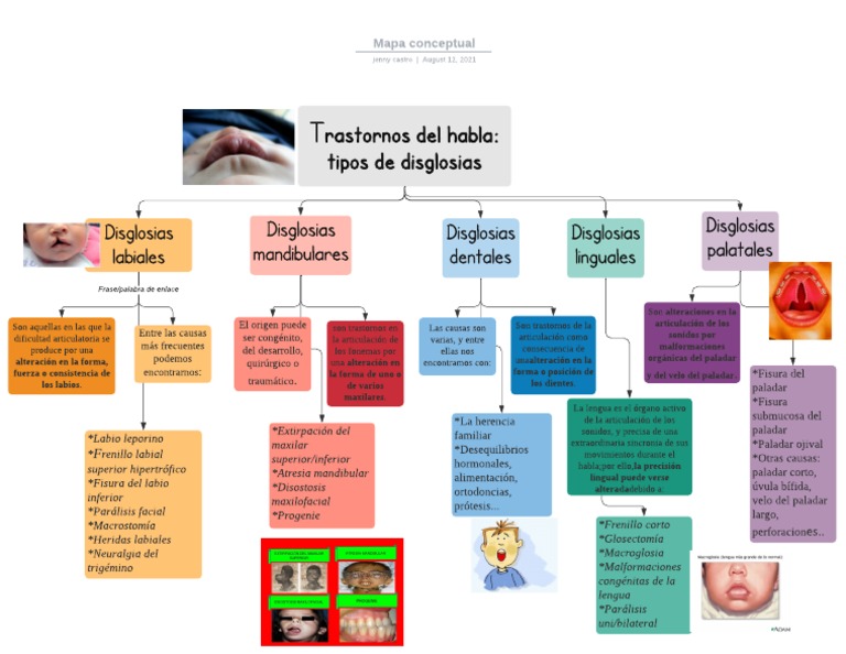 Mapa conceptual de los tipos de disglosias: sus causas y ...