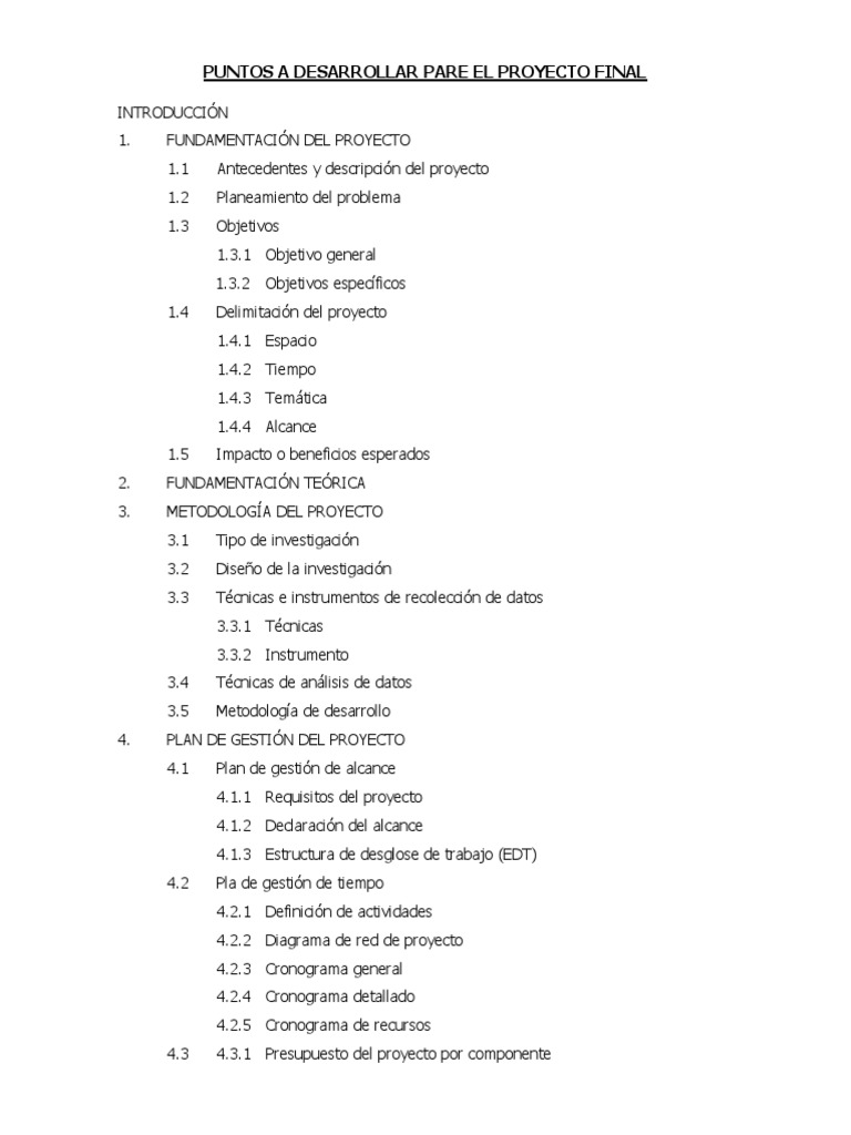 Puntos A Desarrollar Del Proyecto | PDF