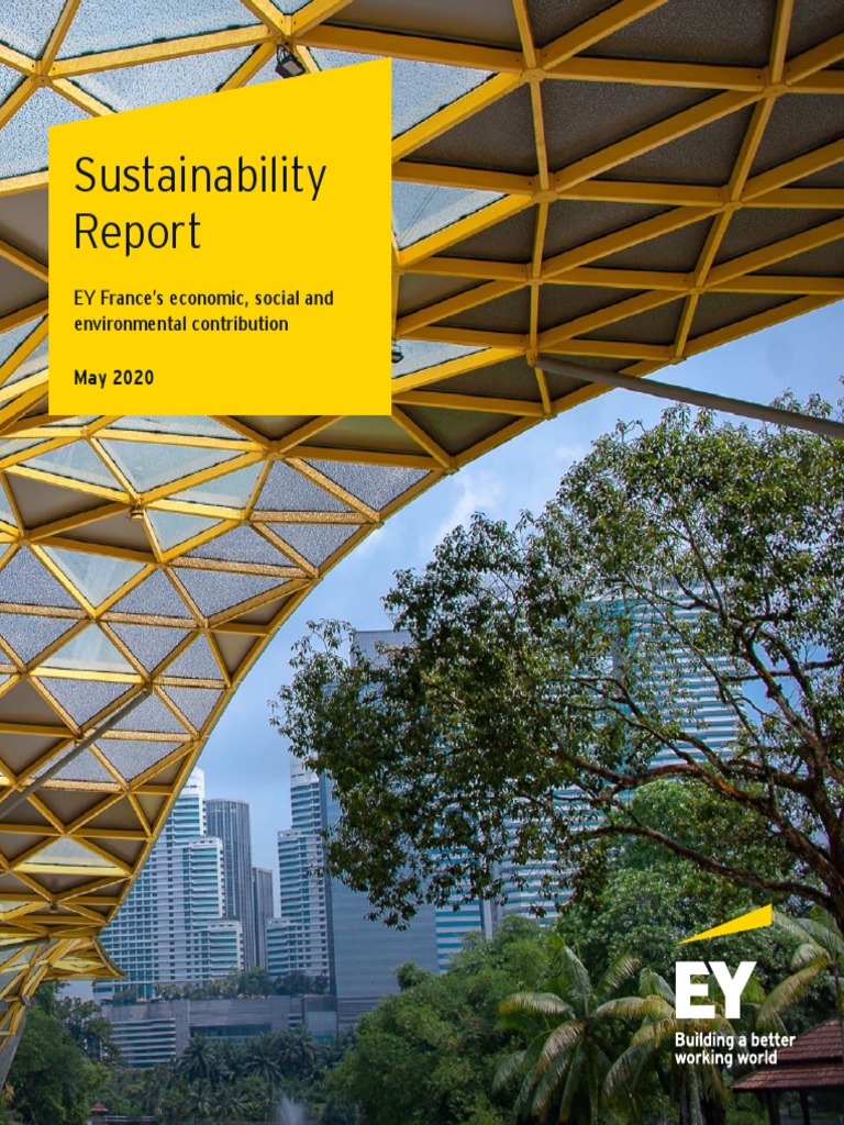 Ey CSR Report 2020 | PDF | Sustainability | Corporate Social Responsibility