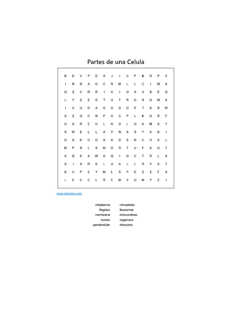 Sopa de Letras Partes de La Celula | PDF