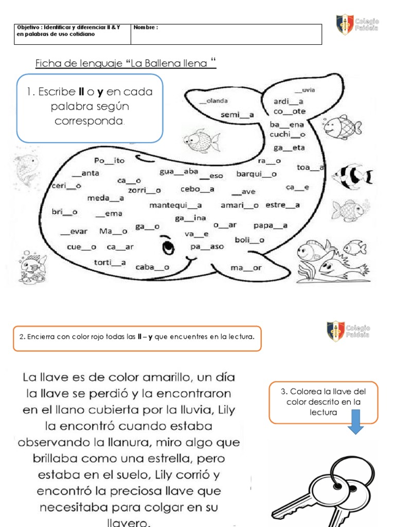Actividades de Lenguaje: La Ballena Llena | PDF