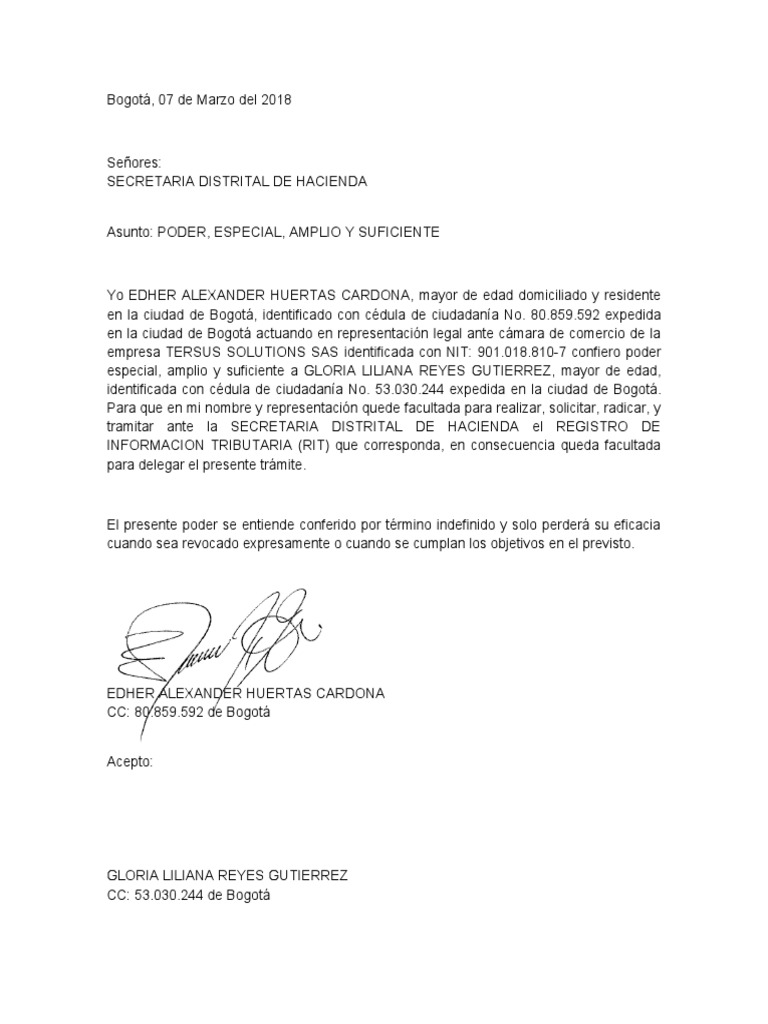 Formato - Poder Especial | PDF