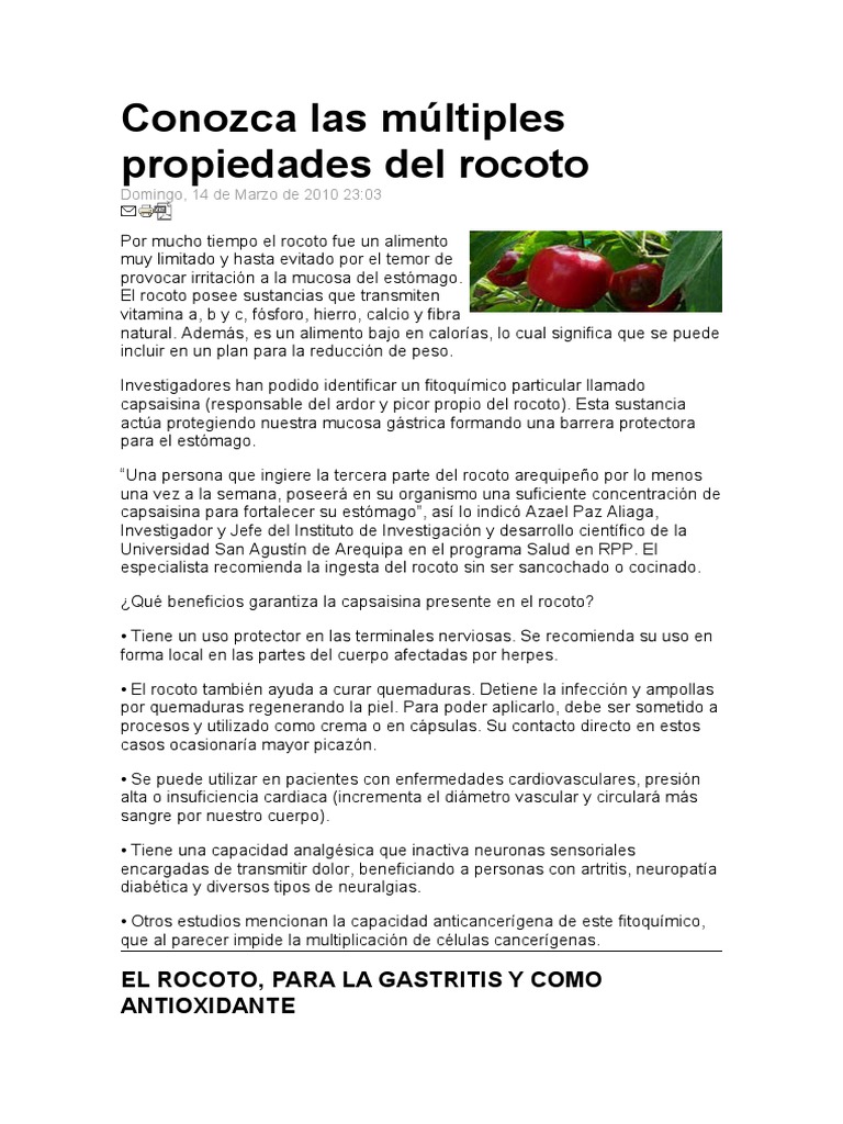 Conozca Las Múltiples Propiedades Del Rocoto | PDF | Estómago | Digestión