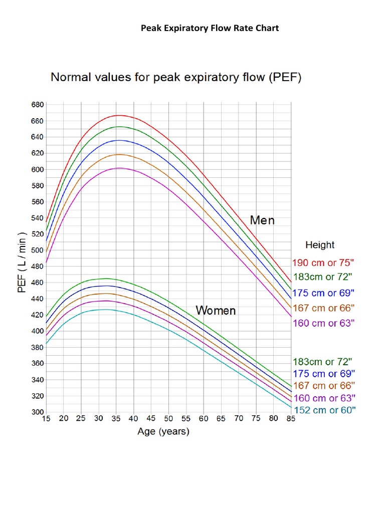 Peak Expiratory Flow Rate Chart | PDF