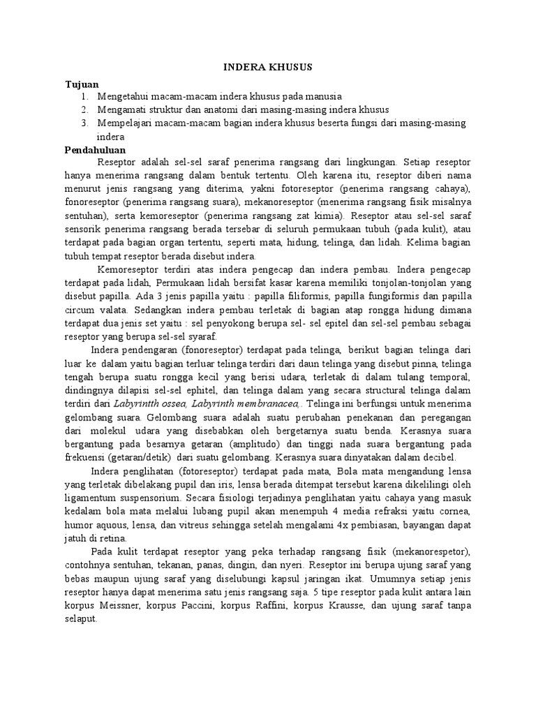 (Template) LKS Indera | PDF