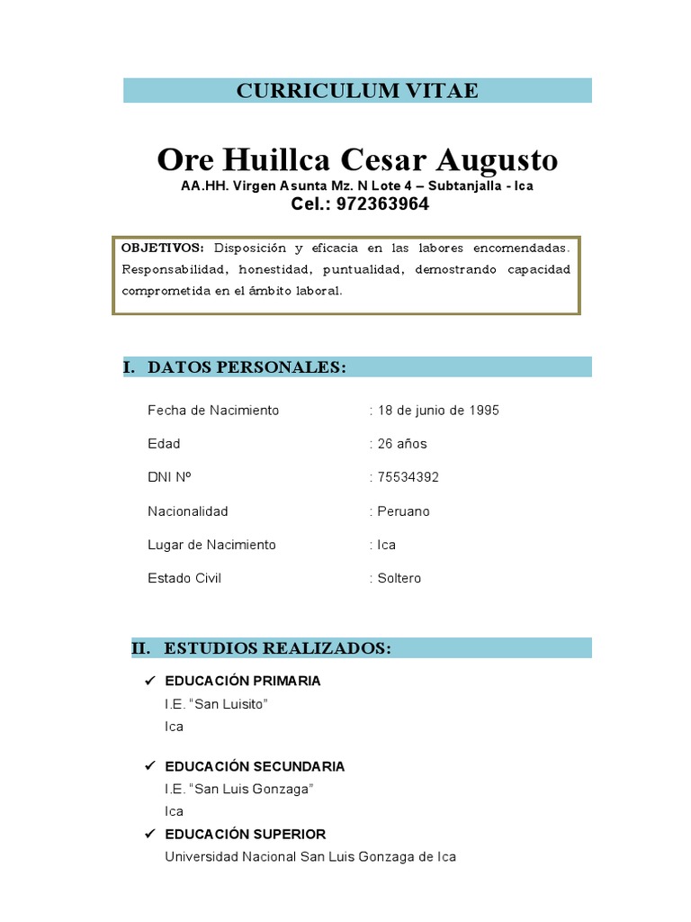 CV Cesar Ore | PDF