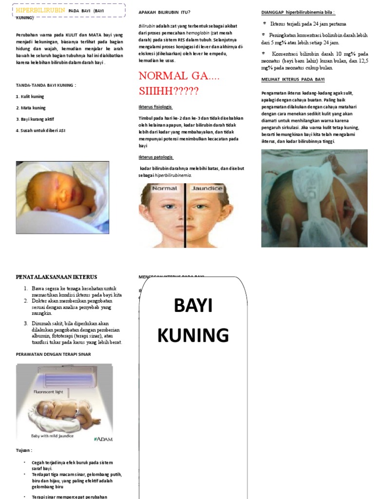 Penyebab dan Penanganan Bayi Kuning | PDF