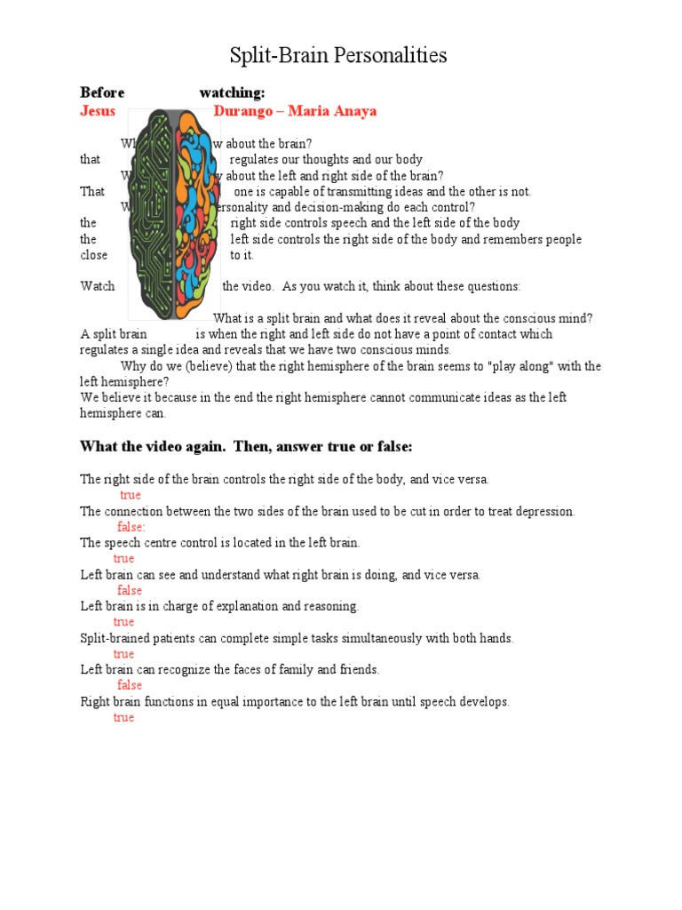 Split-Brain Personalities: Jesus Durango - Maria Anaya | PDF ...