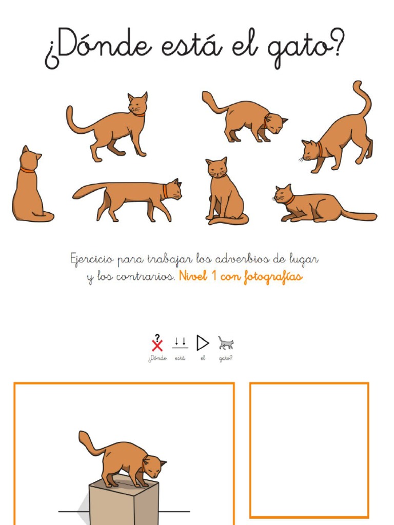 Donde Esta El Gato | PDF