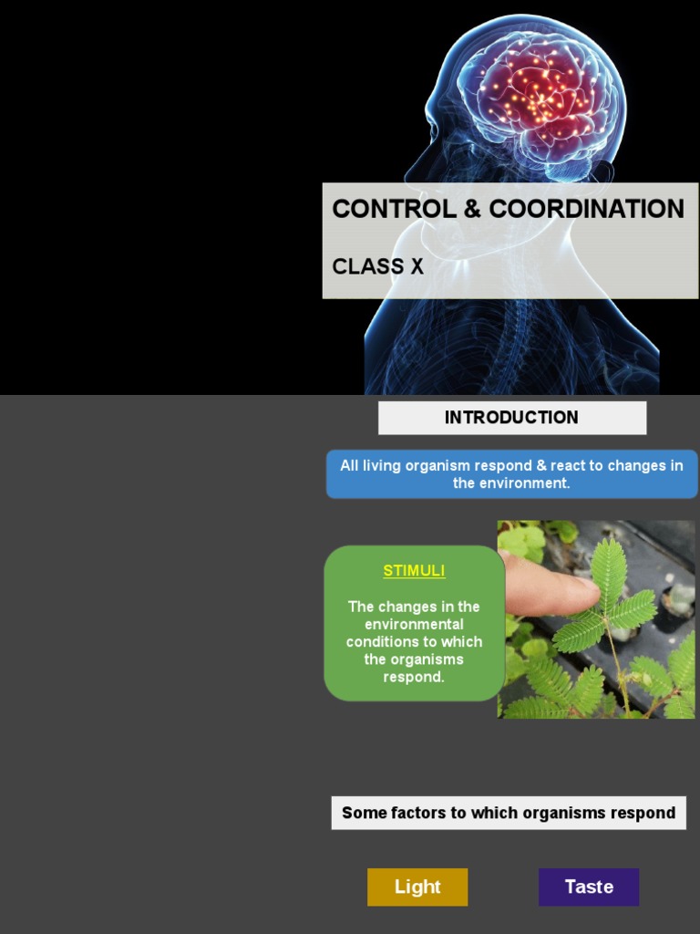 Control and Coordination in Organisms | PDF | Nervous System | Neuron