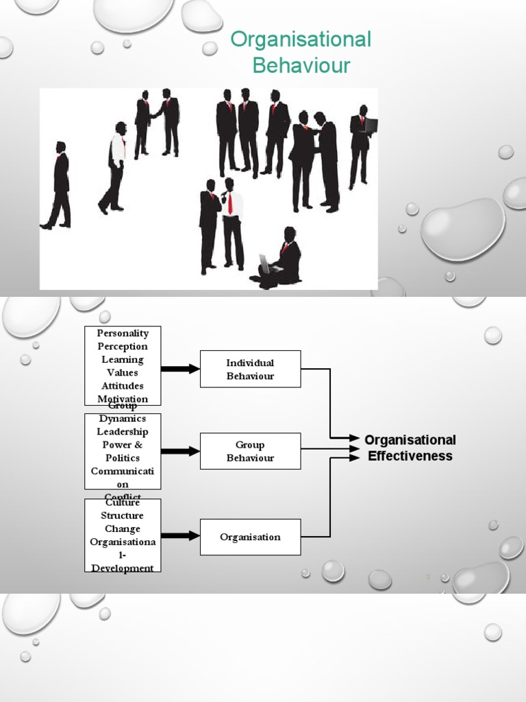 Introduction To OB | PDF | Organizational Behavior | Goal