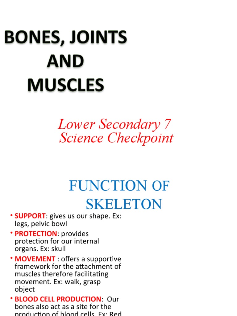 Classifying Joints: An Overview of the Types and Functions of Bones and ...