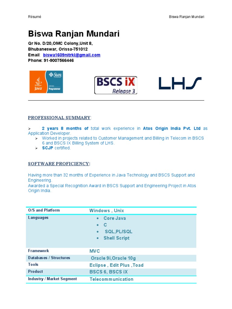 Biswa Ranjan Mundari - CV070311 | PDF | Oracle Database | Software