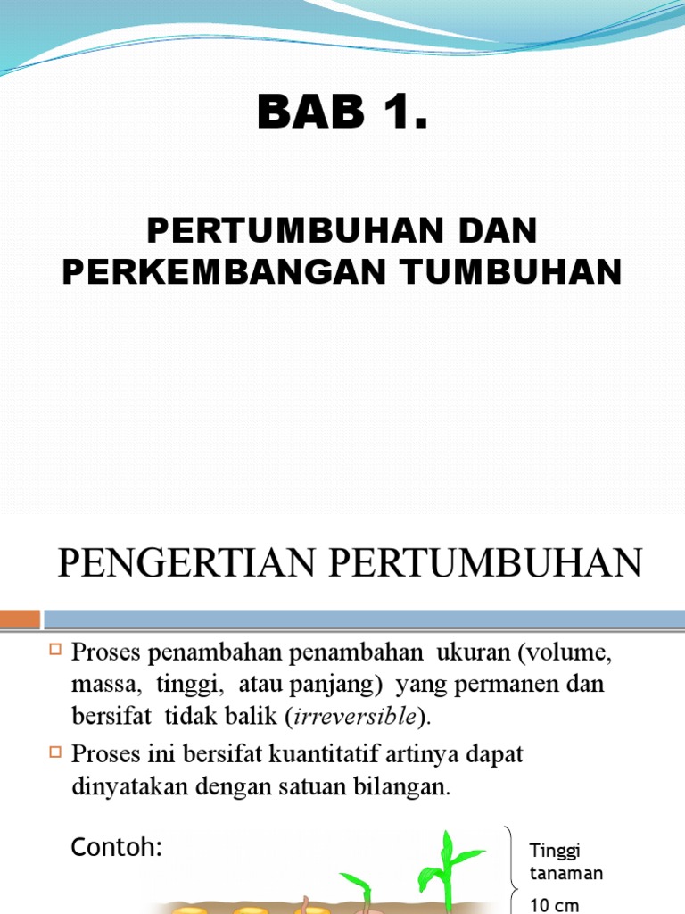 BAB 1 Pertumbuhan Dan Perkembangan Tumbuhan | PDF | Sains & Matematika
