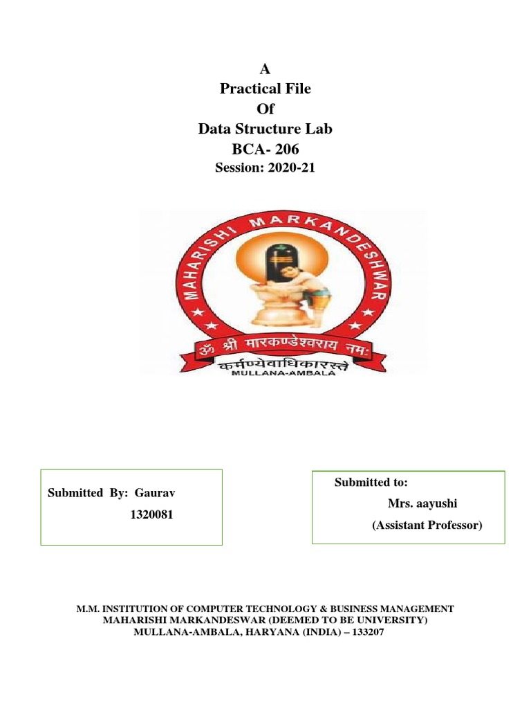 A Practical File of Data Structure Lab BCA-206: Session: 2020-21 | PDF ...