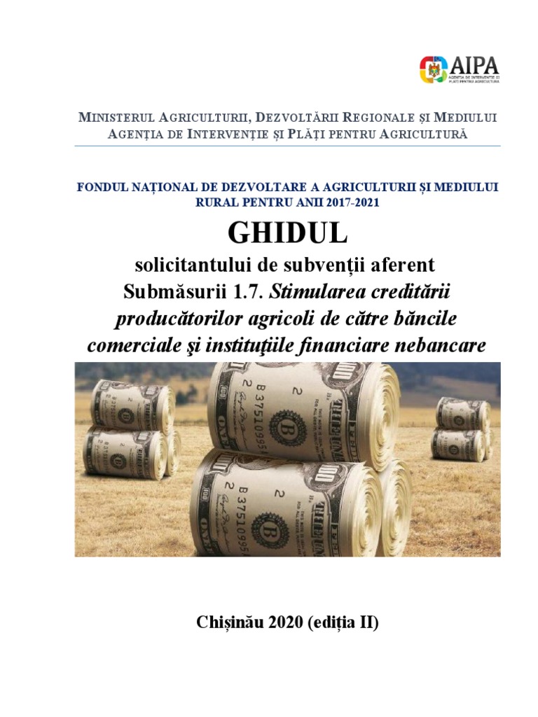 Ghid Submasura 1.7 | PDF