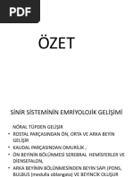 Si̇ni̇r Si̇stemi̇ Fi̇zyoloji̇si̇ | PDF