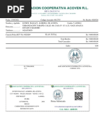 Carnet RCV 58321 | PDF | Póliza de seguros | Seguro