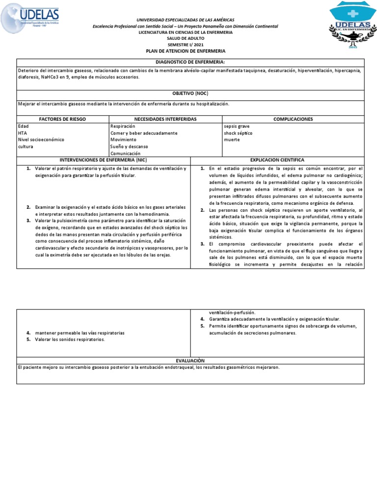Ejemplo de Un PAE | PDF | Sistema respiratorio | Pulmón