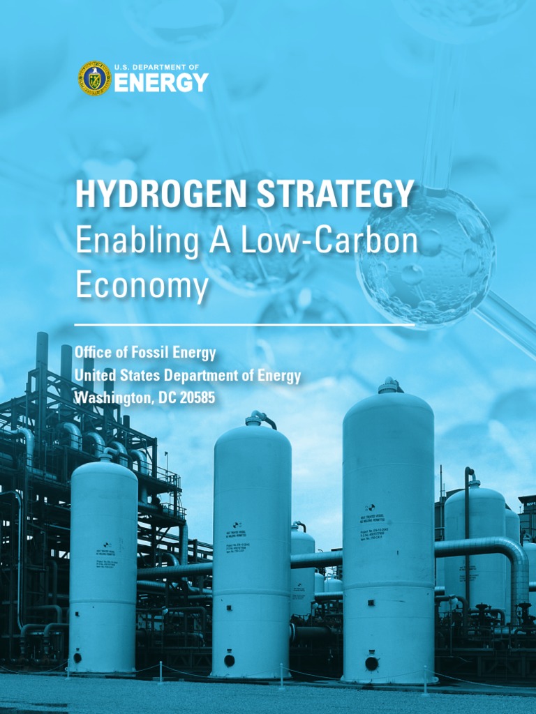 DOE Hydrogen Strategy Enables Low-Carbon Economy | PDF | Low Carbon ...