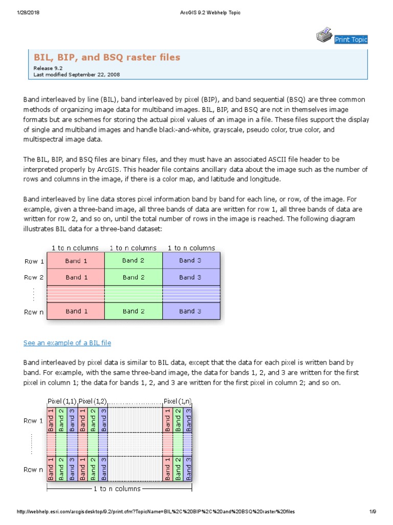 BIL, BIP, and BSQ Raster Files | PDF | Computing | Computer Engineering
