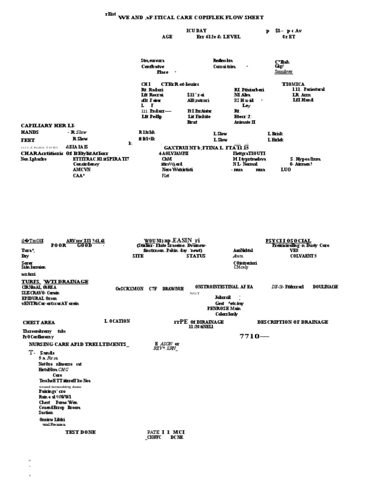 Flow Sheet Icu | PDF
