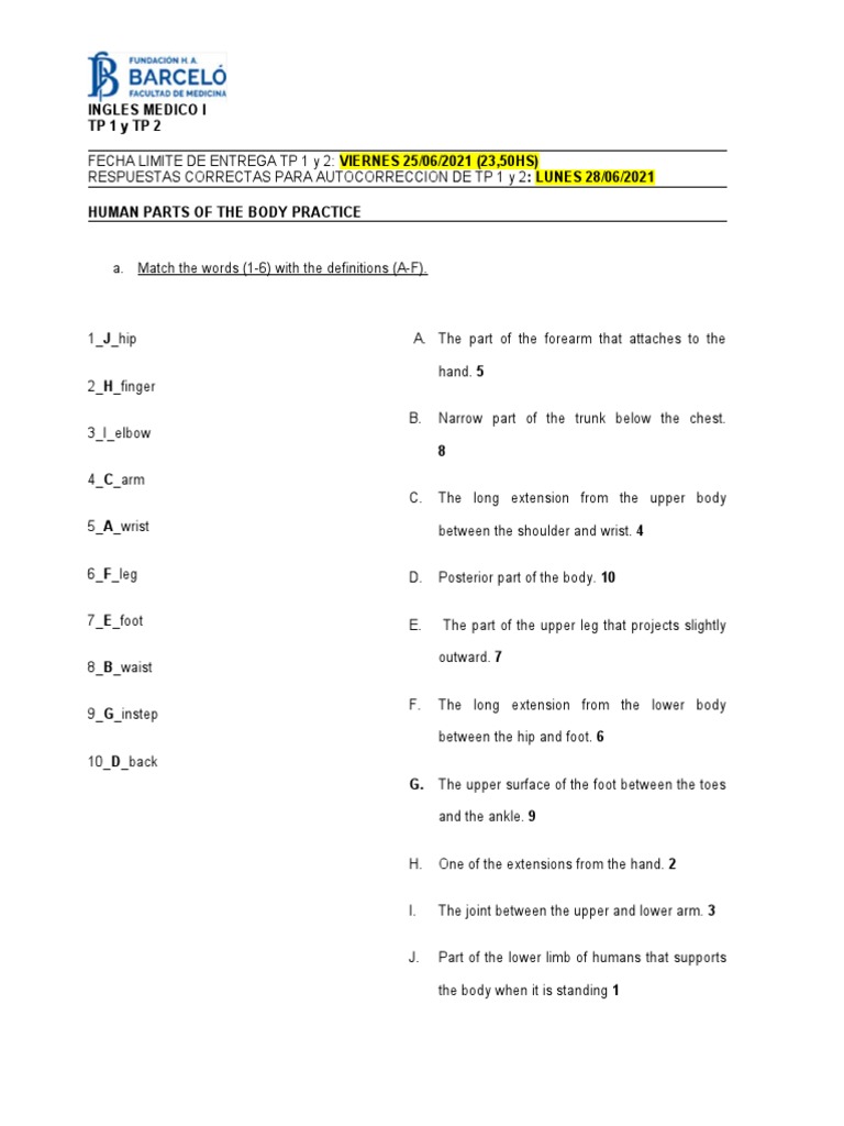 Medical English Practice Exercises | PDF | Anatomical Terms Of Motion ...