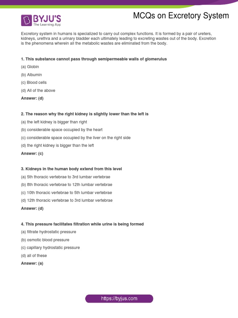 Mcqs On Excretory System | PDF | Kidney | Animal Anatomy