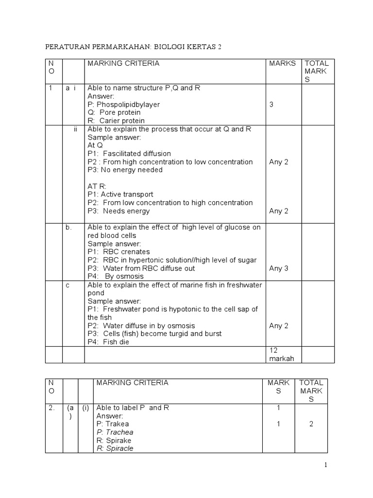 SLGR 3 Biologi k2 Jawapan | Descargar gratis PDF | Twin | Photosynthesis