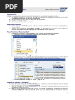 Instalacion - Configuracion SAP Logon 770 | PDF