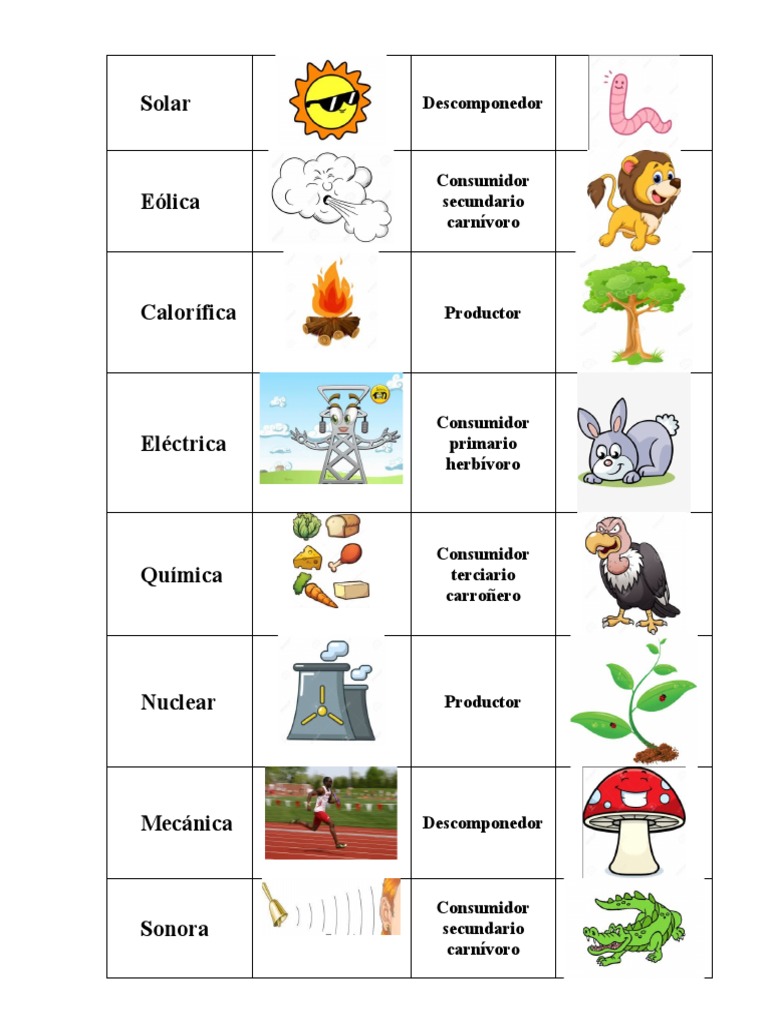 Memorama para Tema Ecosistemas | PDF