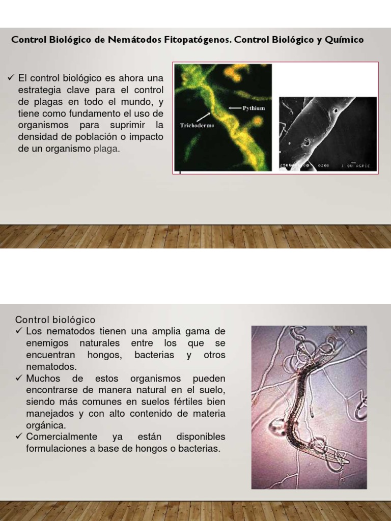 S14T Control Biologico y Quimico | PDF | Control biológico de plagas ...