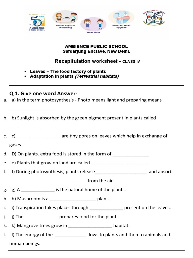 Revision Worksheet UT 1 Leaf, Adp in Plants (Terrestrial) | PDF | Leaf ...