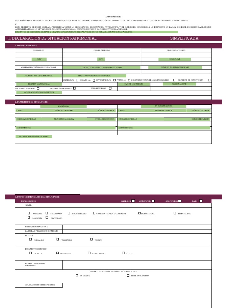 Formatos Declaración Patrimonial Simplificado Pdf Gobierno Local