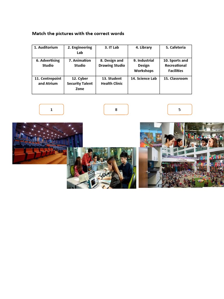 Match The Pictures With The Correct Words | PDF