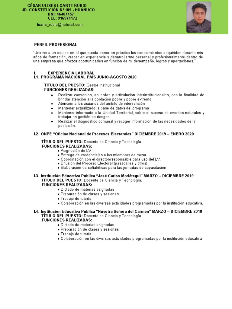 Curriculum Vitae Cesar Ulises Loarte Rubio | PDF