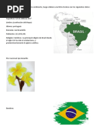 La Ropa Tipica de Brasil | PDF | Ropa | Moda