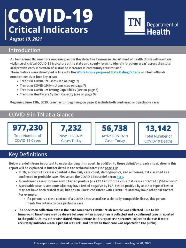 Critical Indicator Report | PDF