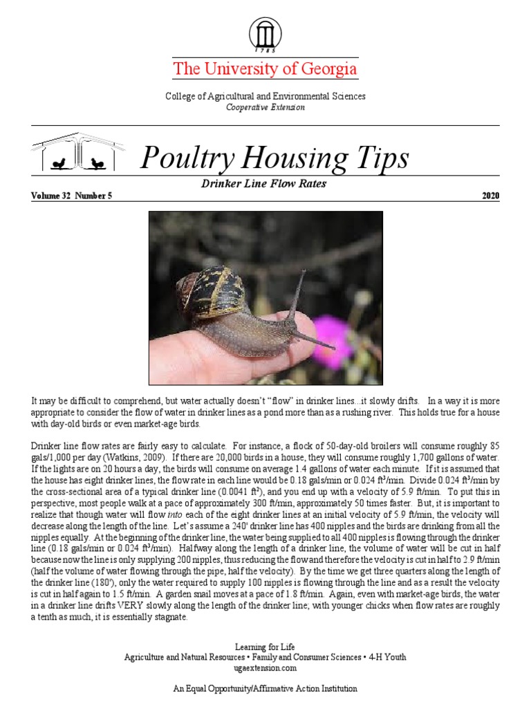 Drinker Line Flow Rates Georgia University | PDF | Water | Flow Measurement