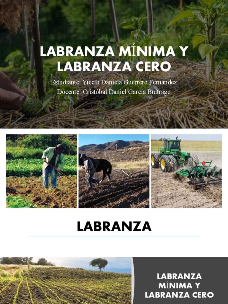 LABRANZA MÍNIMA Y LABRANZA CERO (Autoguardado) | PDF | Agricultura ...